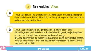 PPT Bab 2 IPA Biologi VIRUS_251021_200253 (1).pdf