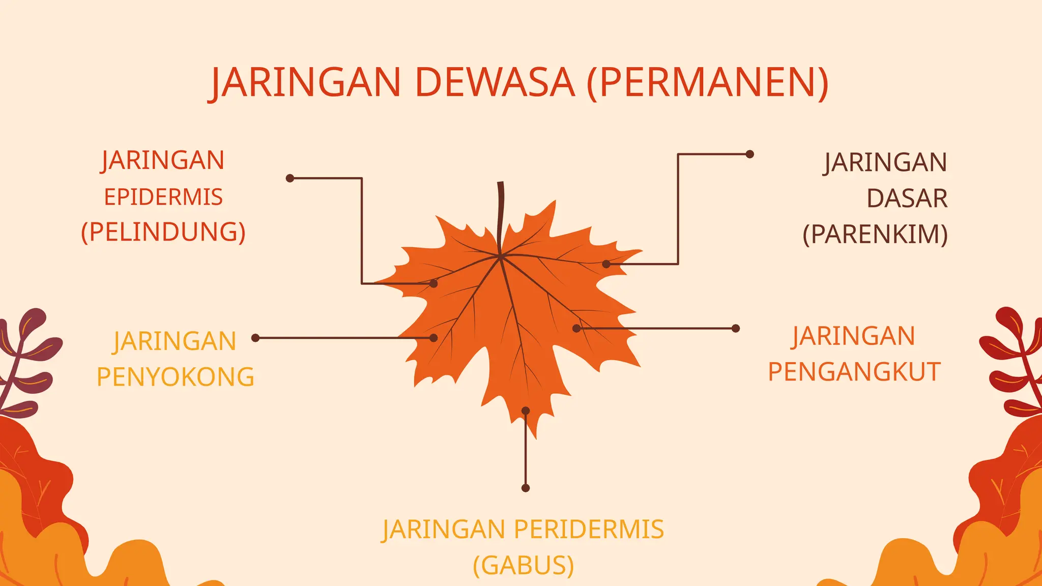 PPT BAB 2 JARINGAN TUMBUHAN or Plant Organel of the University | PPTX