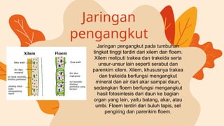 PPT BAB 2 JARINGAN TUMBUHAN or Plant Organel of the University | PPTX
