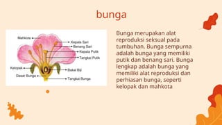 PPT BAB 2 JARINGAN TUMBUHAN or Plant Organel of the University | PPTX