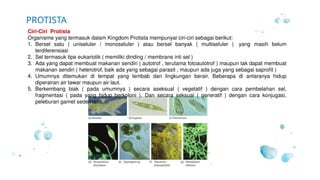 PPT Bab 2 Klasifikasi MH.pptx Kurikulum Merdeka dan kunci jawabannya ...