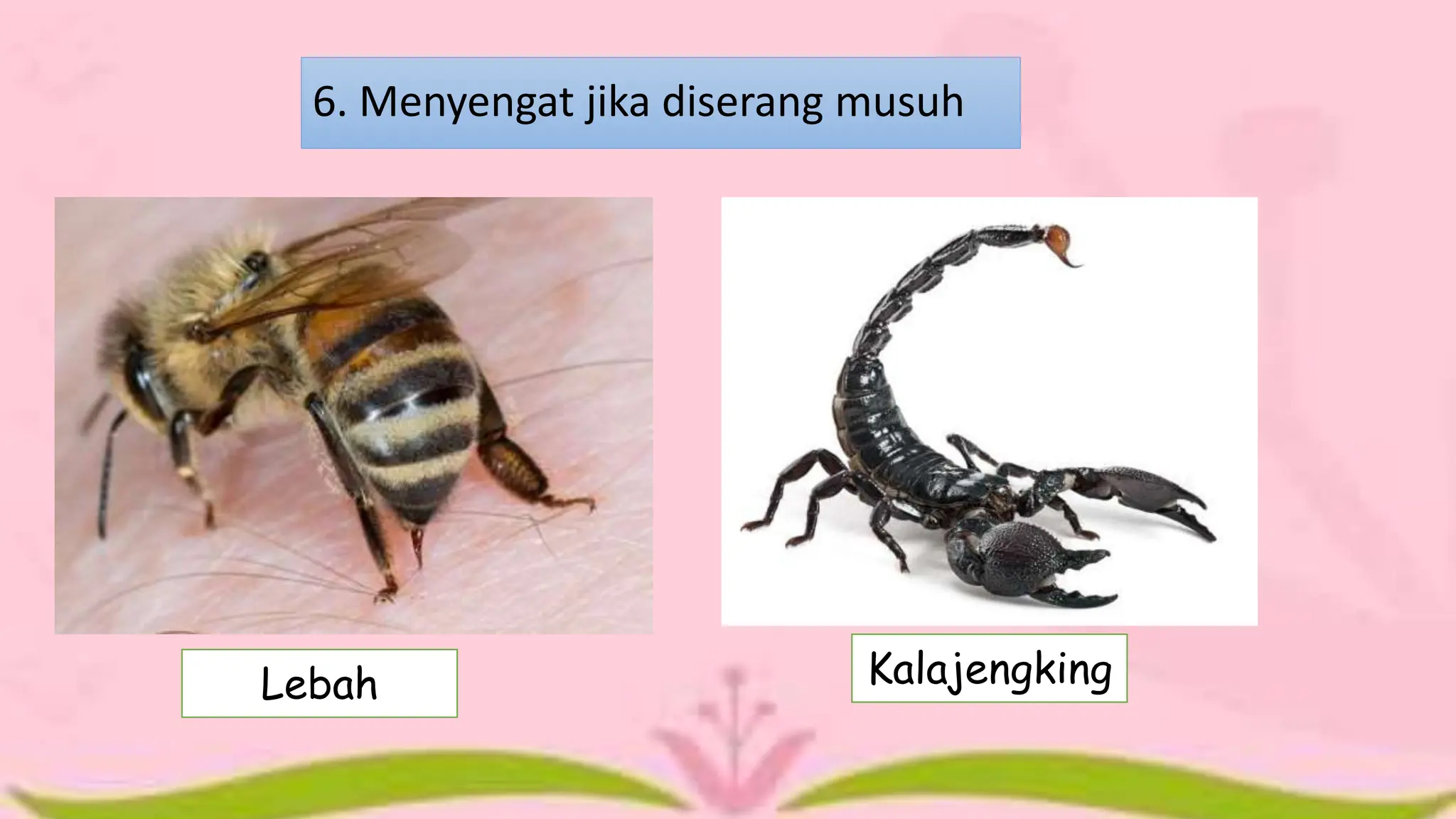 Penyesuaian Diri Makhluk Hidup dengan Lingkungannya.pptx