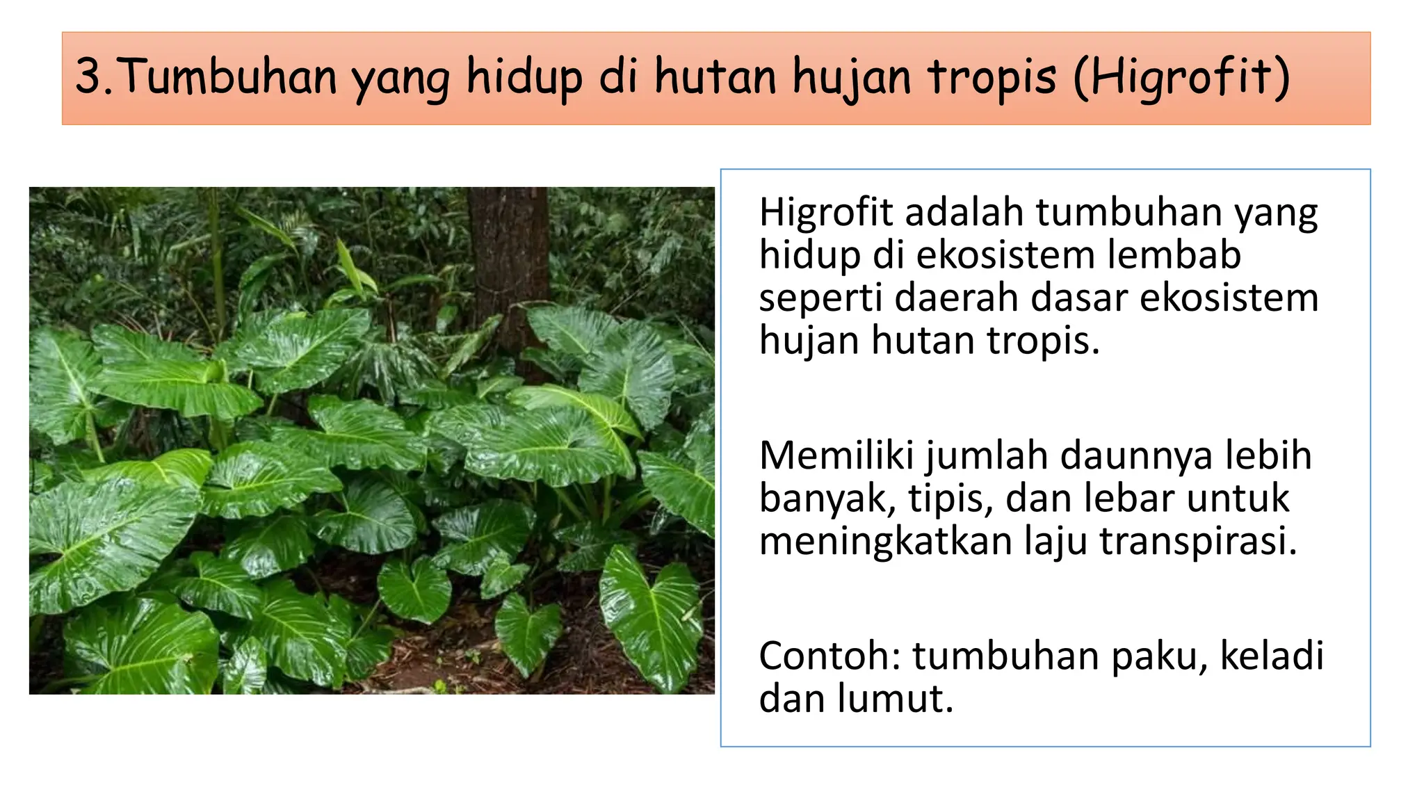 Penyesuaian Diri Makhluk Hidup dengan Lingkungannya.pptx