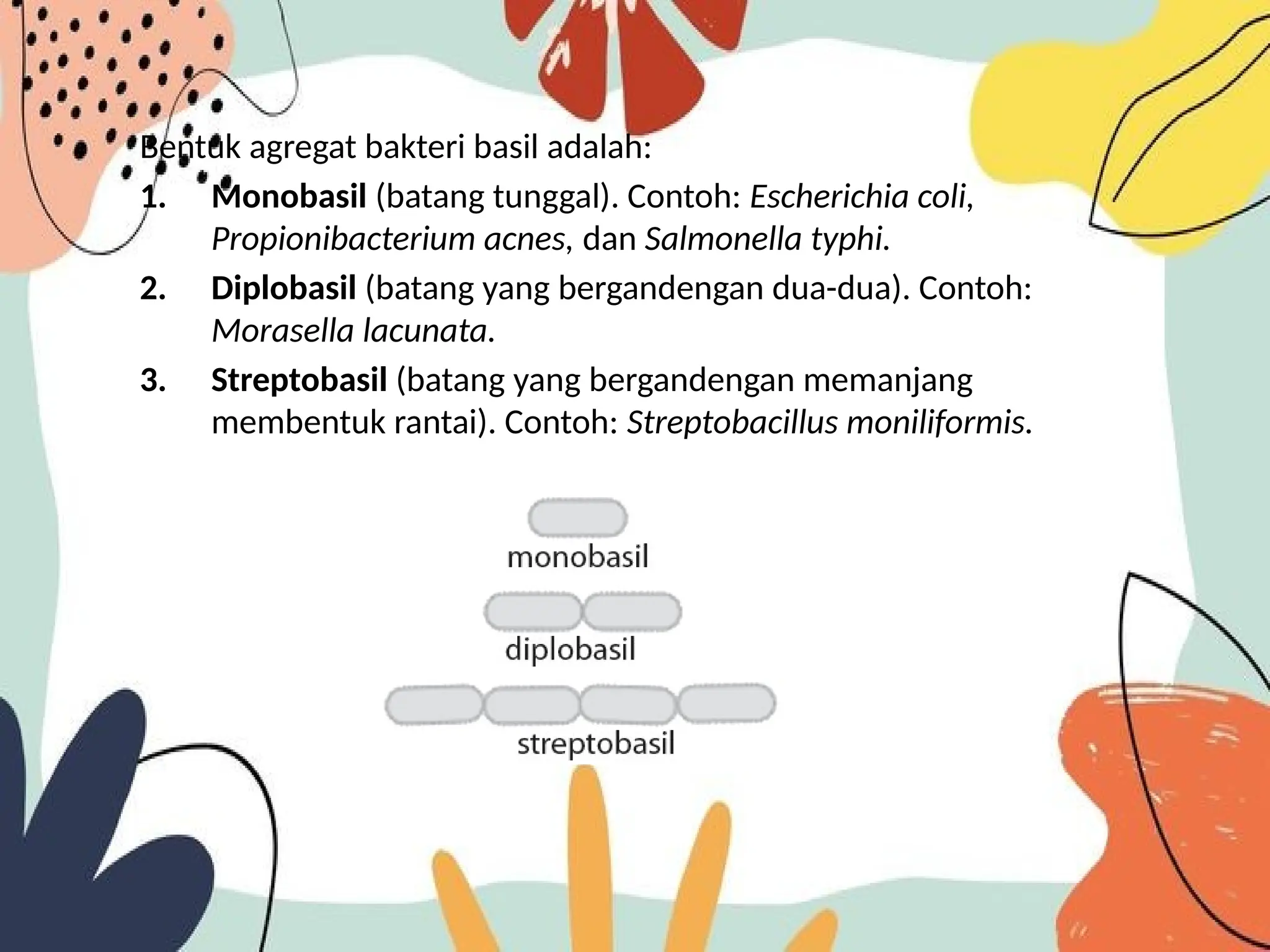 PPT Bab 3 BAKTERI kelas X kurikulum merdeka .pptx