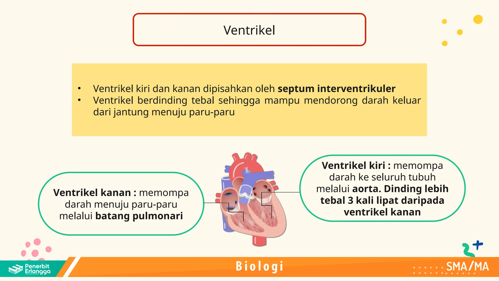PPT Bab 3 Biologi Kelas XI Sirkulasi.pptx