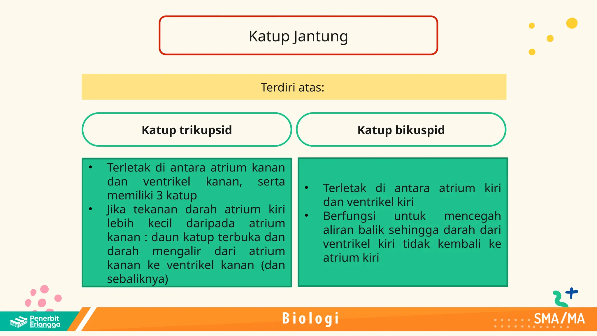 PPT Bab 3 Biologi Kelas XI Sirkulasi.pptx