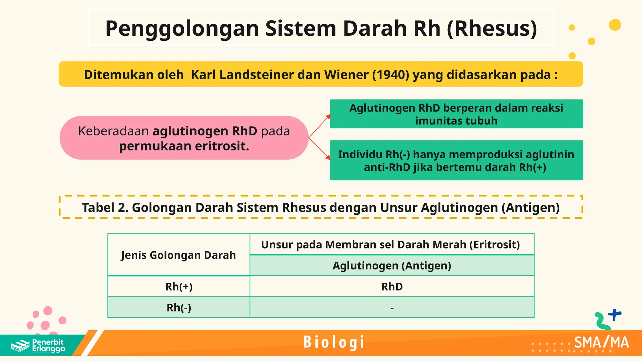 Materi Sistem Peredaran Darah Manusia Kelas 11 | PPTX
