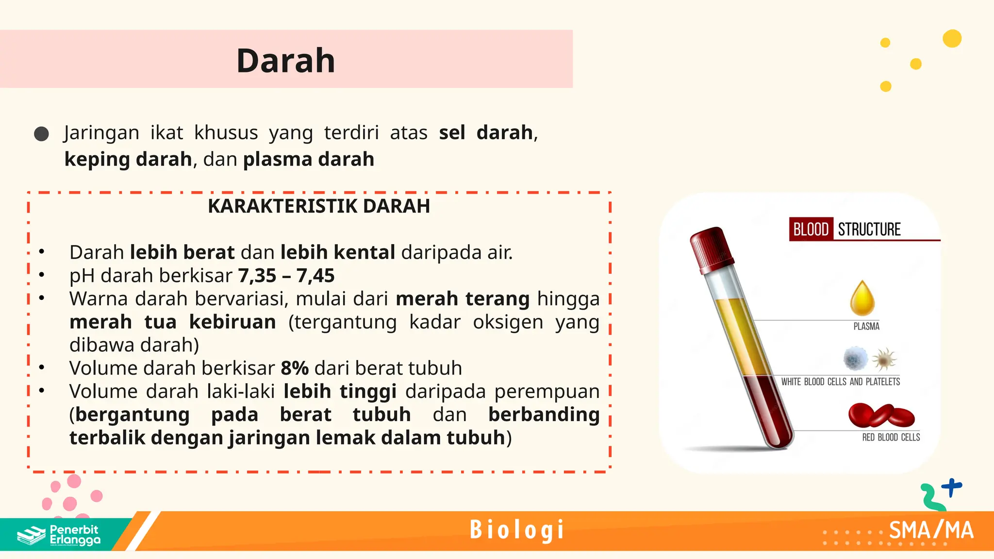 Materi Sistem Peredaran Darah Manusia Kelas 11 | PPTX