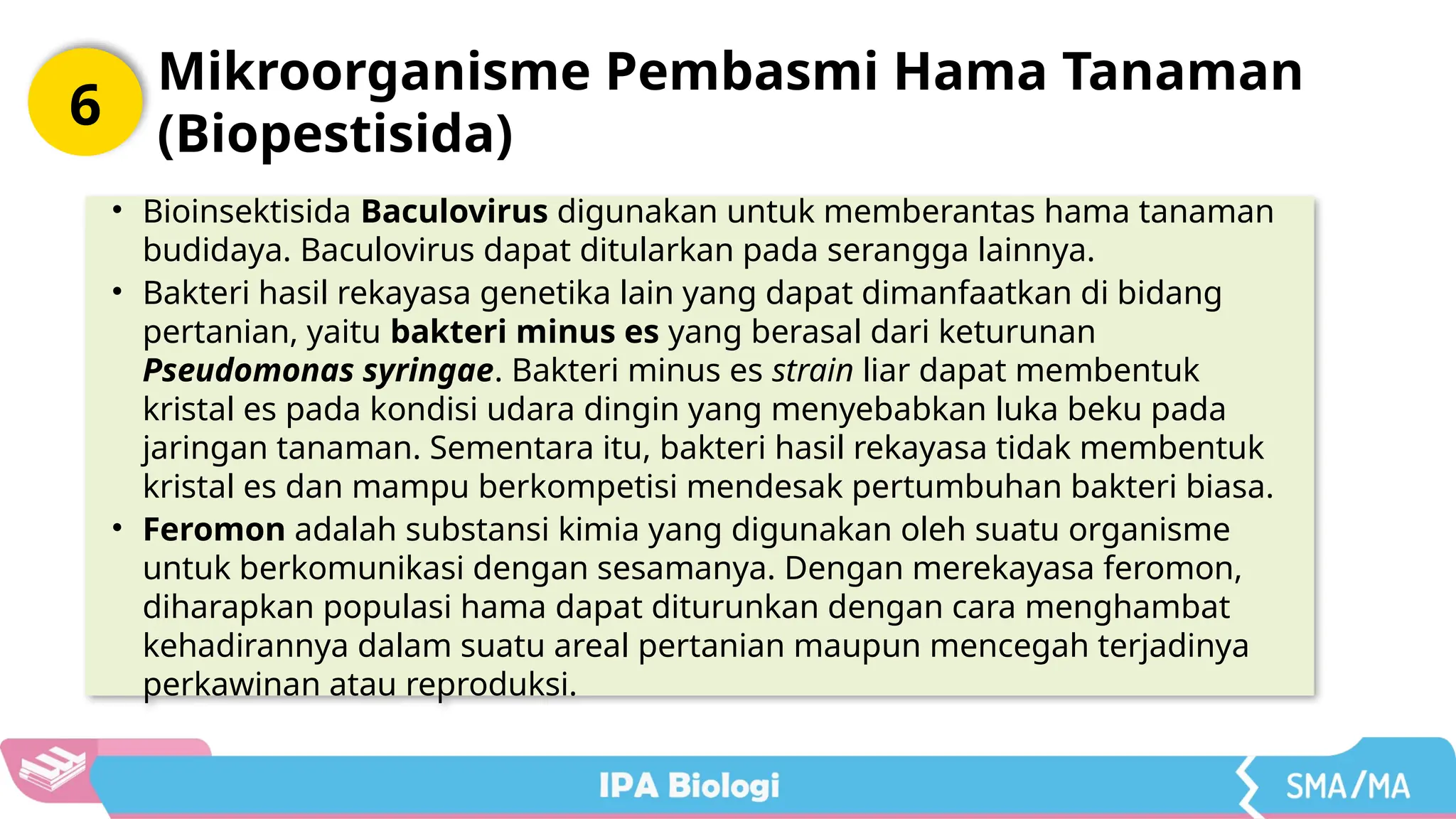 PPT Bab 3 IPA Biologi Kelas X Kur Merdeka.pptx