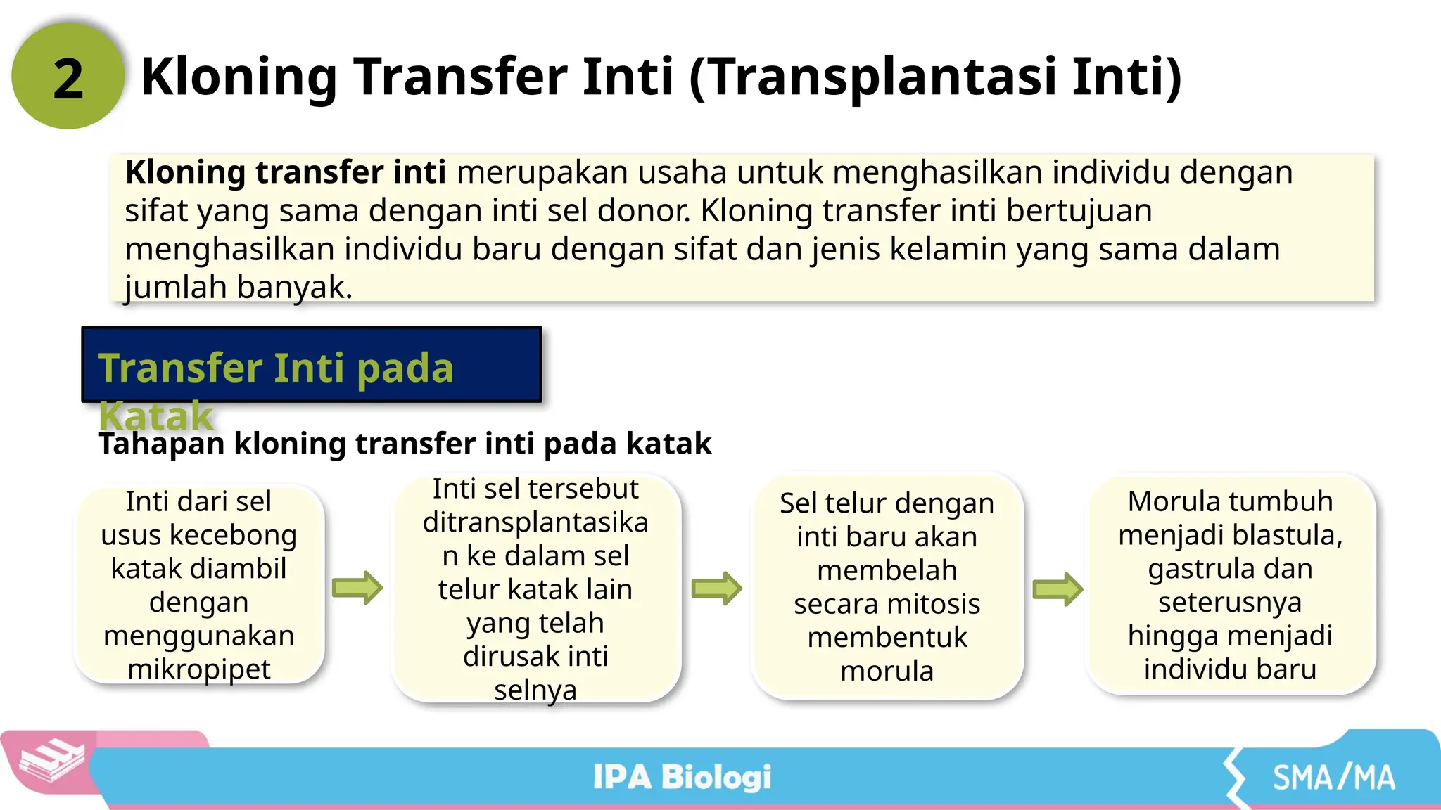 PPT Bab 3 IPA Biologi Kelas X Kur Merdeka.pptx