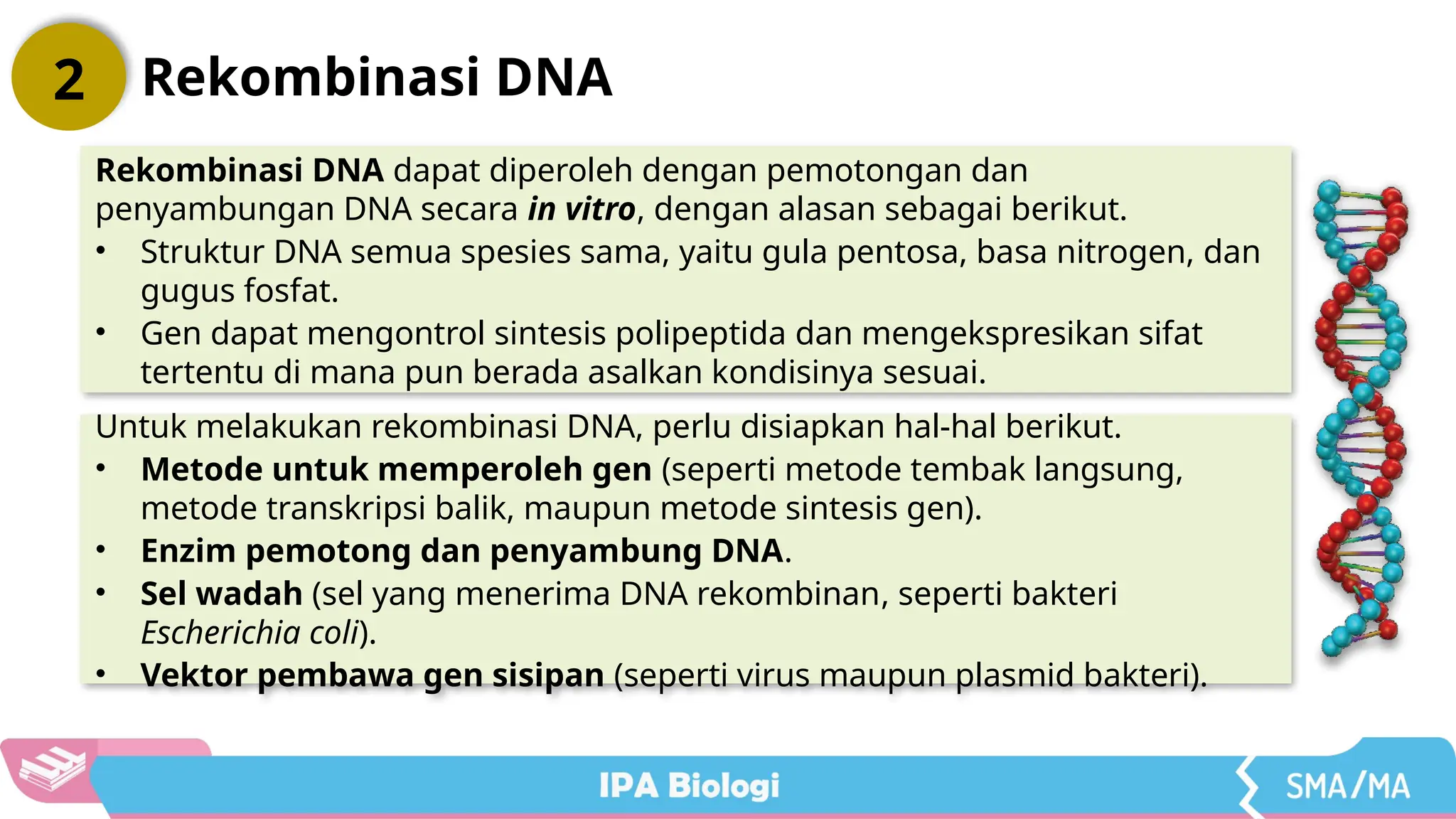 PPT Bab 3 IPA Biologi Kelas X Kur Merdeka.pptx