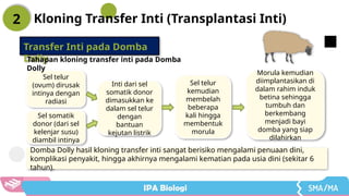 PPT Bab 3 IPA Biologi Kelas X Kur Merdeka.pptx