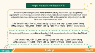 PPT Bab 4 Biologi Kelas XI Kur-Merdeka.pptx