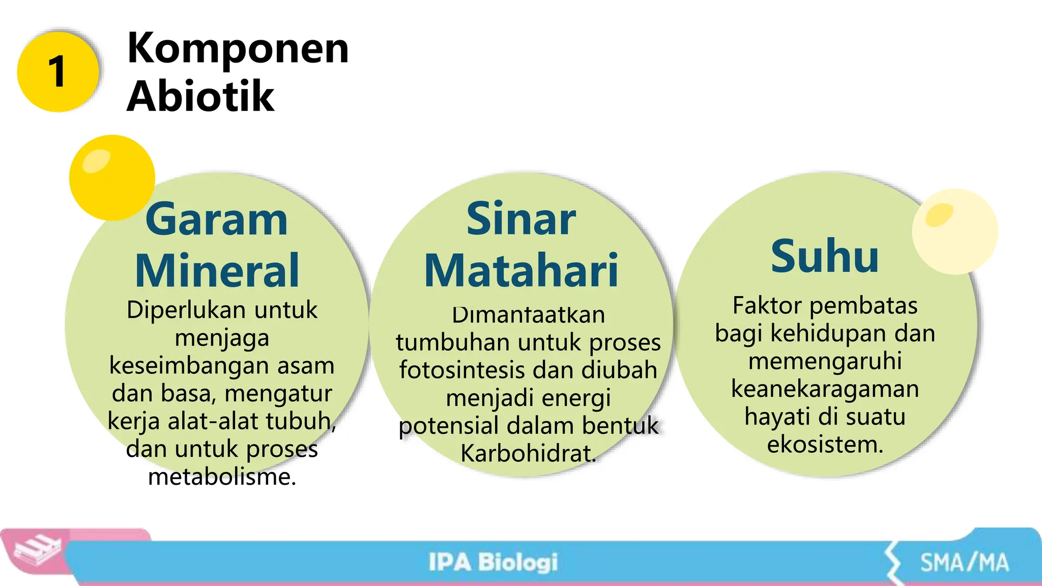 PPT Bab 4 IPA Biologi Kelas X Kur Merdeka (1).pptx