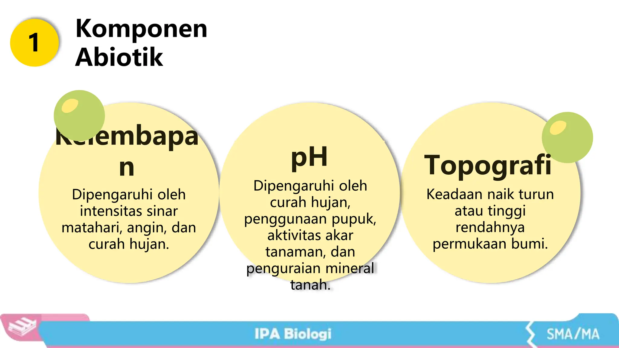 PPT Bab 4 IPA Biologi Kelas X Kur Merdeka (1).pptx