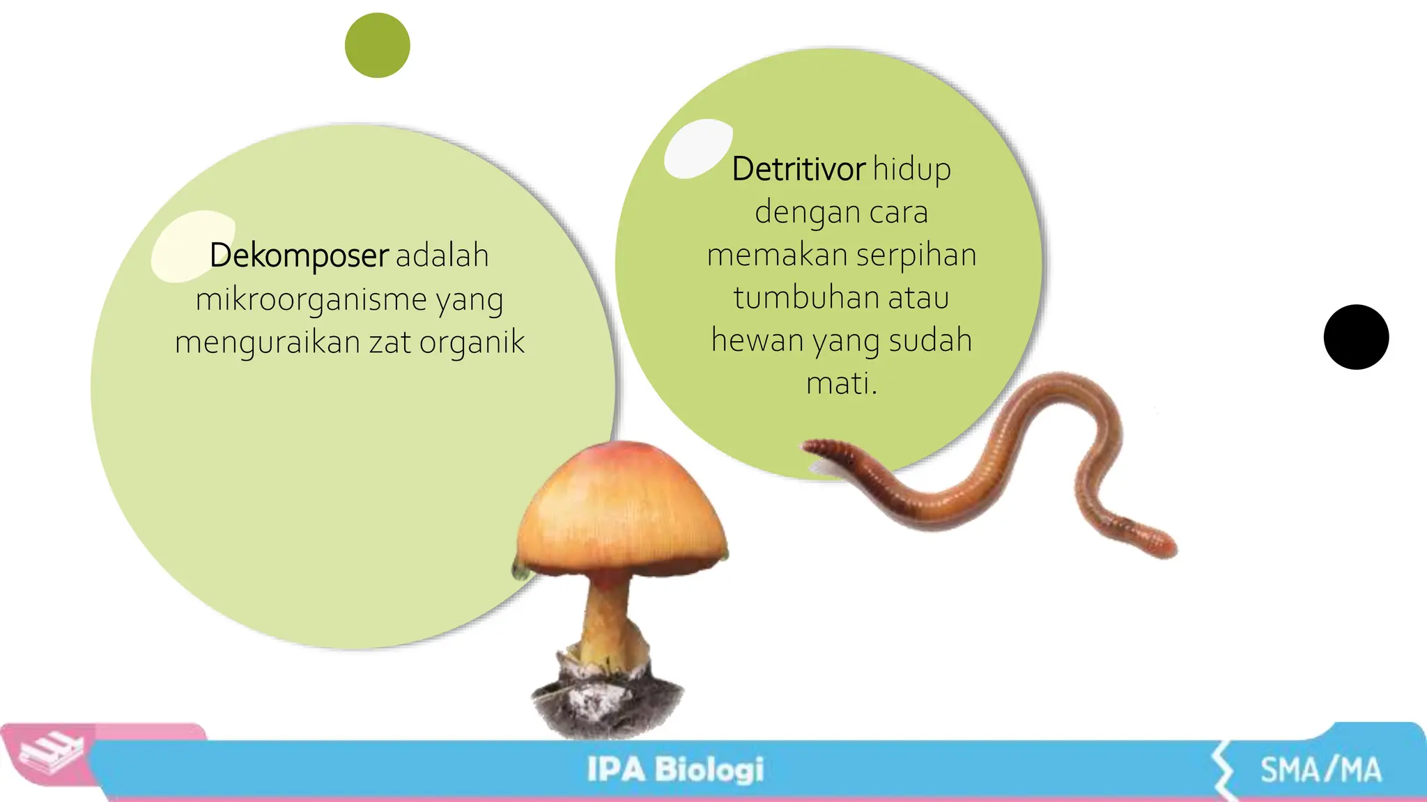 PPT Bab 4 IPA Biologi Kelas X Kur Merdeka (1).pptx