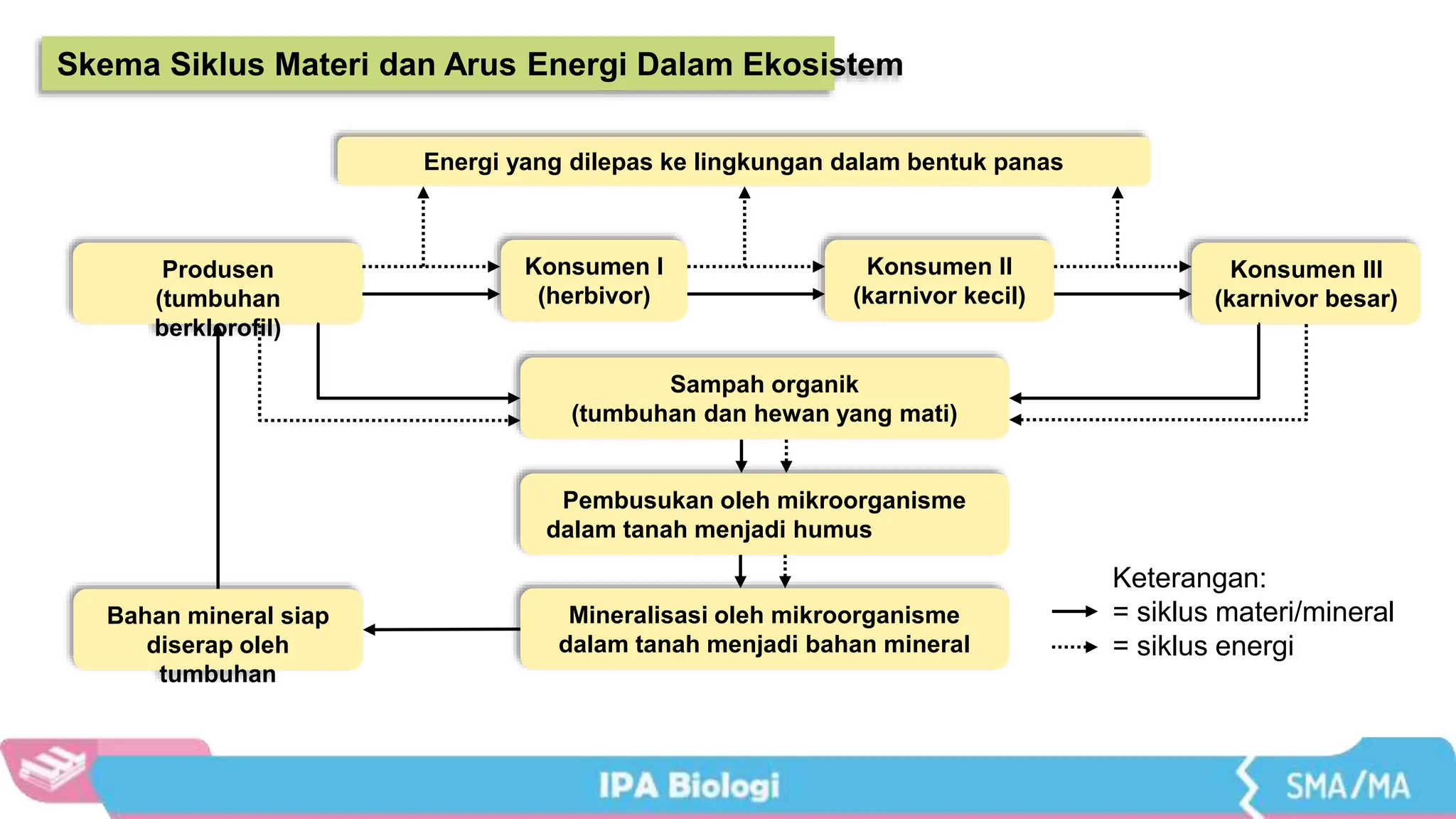 PPT Bab 4 IPA Biologi Kelas X Kur Merdeka (1).pptx