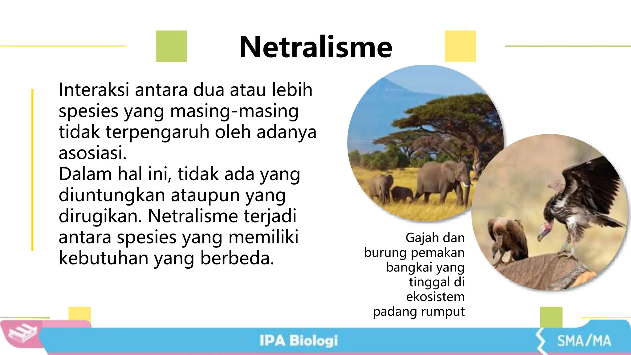 PPT Bab 4 IPA Biologi Kelas X Kur Merdeka (1).pptx