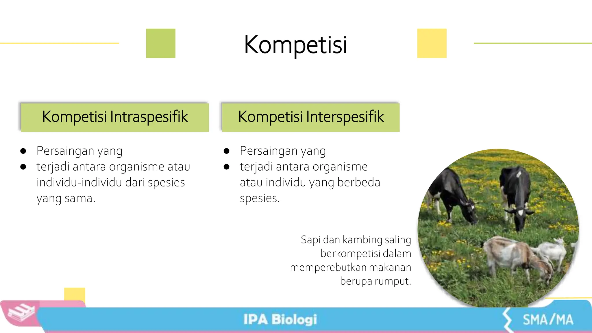 PPT Bab 4 IPA Biologi Kelas X Kur Merdeka (1).pptx