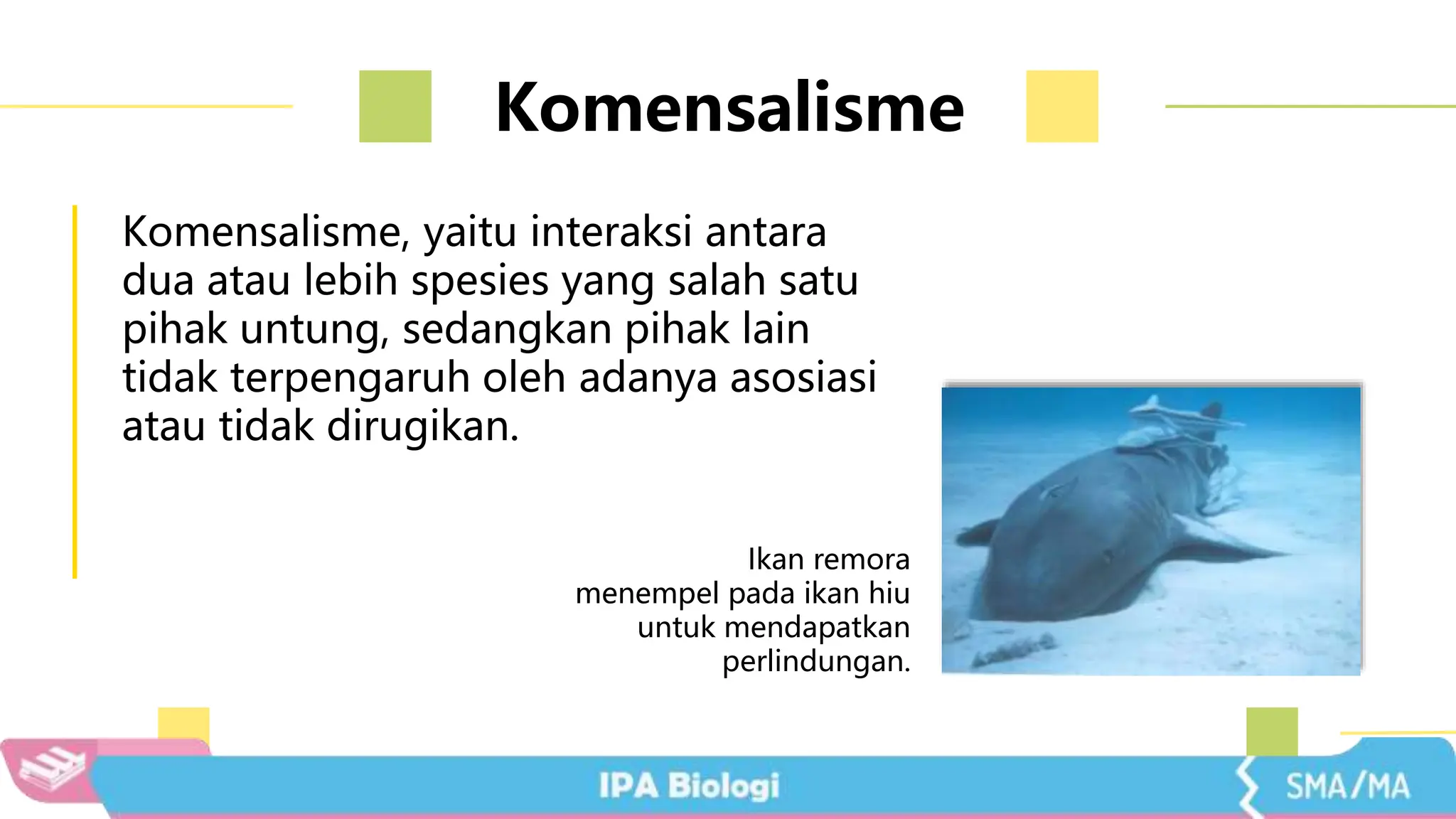 PPT Bab 4 IPA Biologi Kelas X Kur Merdeka (1).pptx