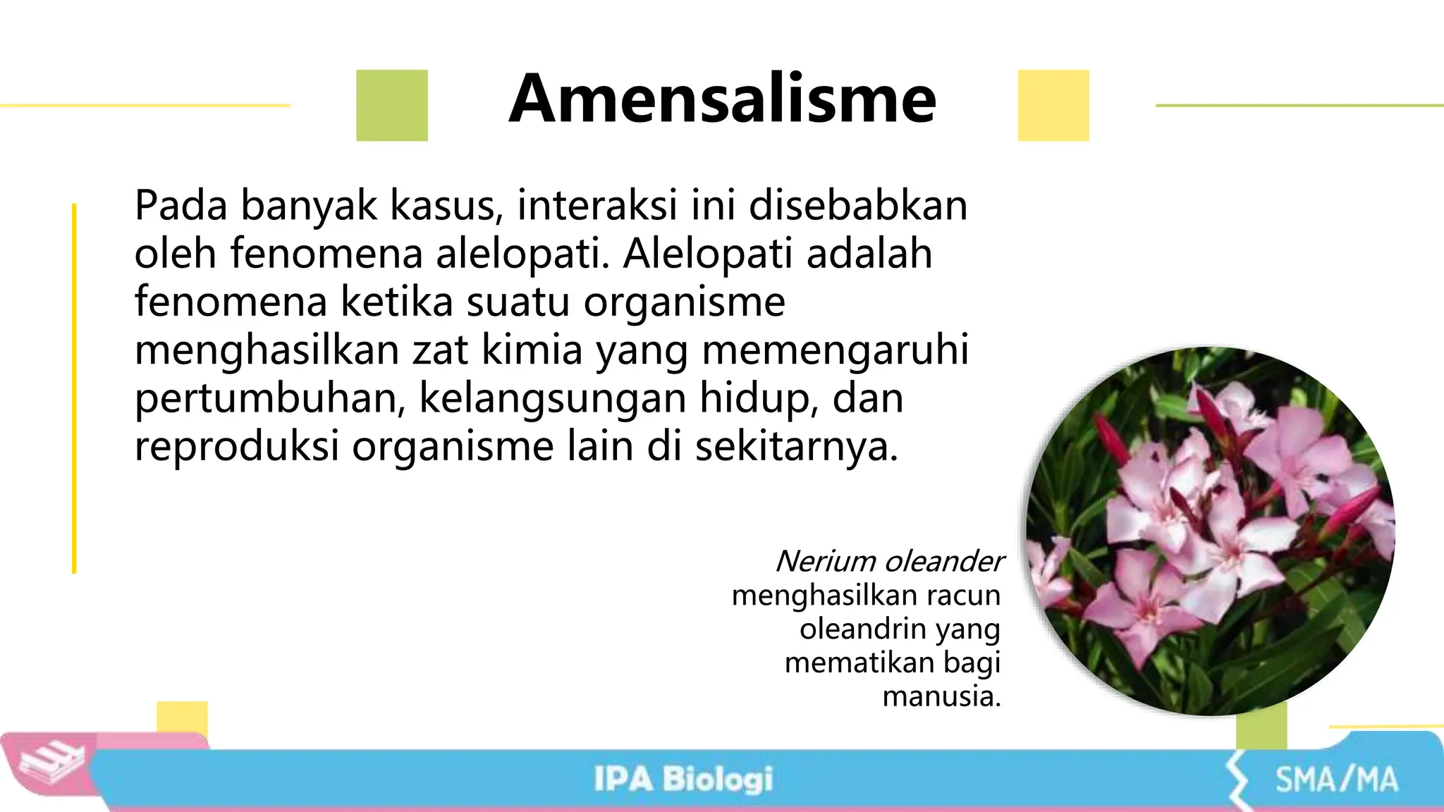 PPT Bab 4 IPA Biologi Kelas X Kur Merdeka (1).pptx