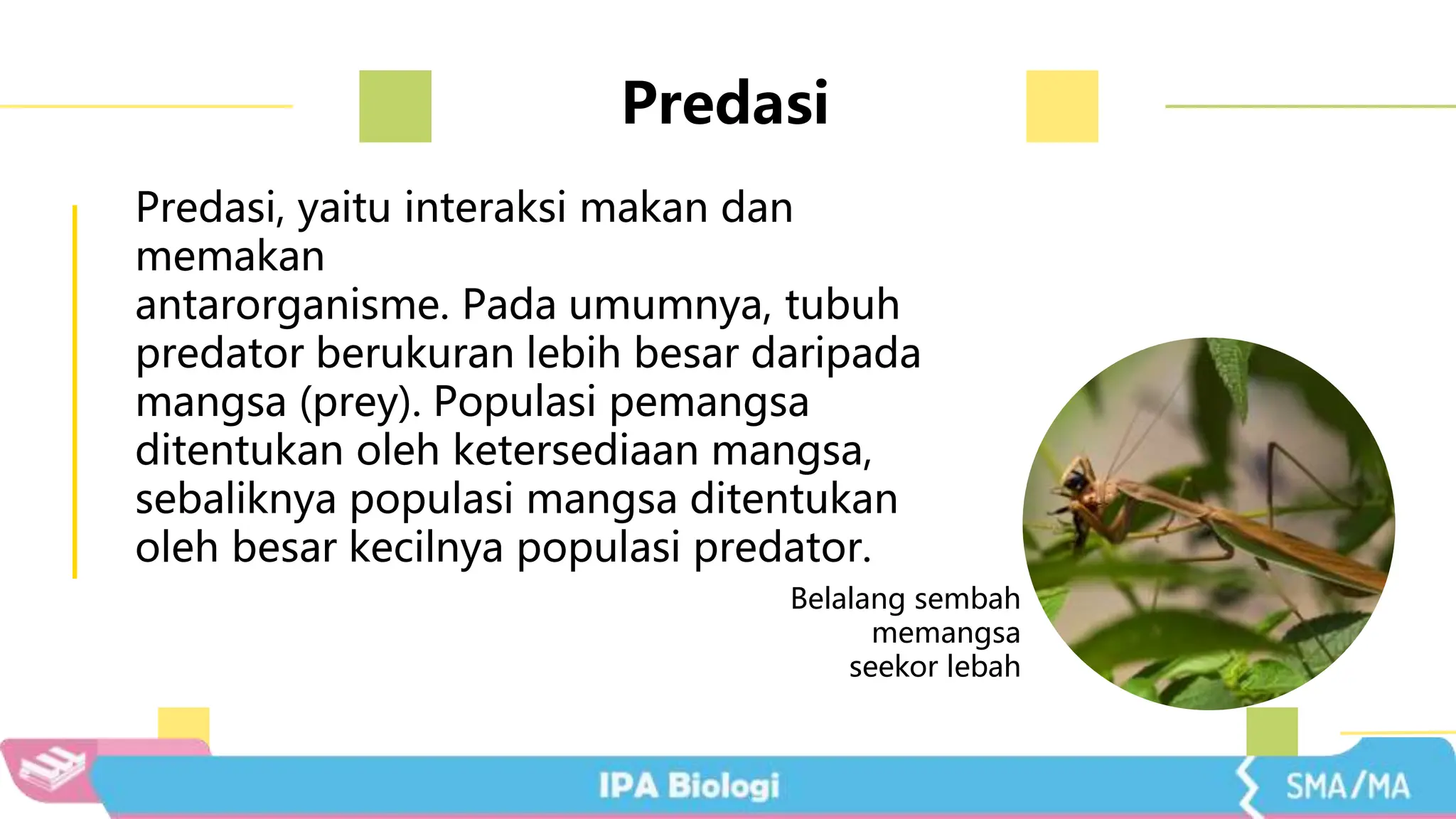 PPT Bab 4 IPA Biologi Kelas X Kur Merdeka (1).pptx