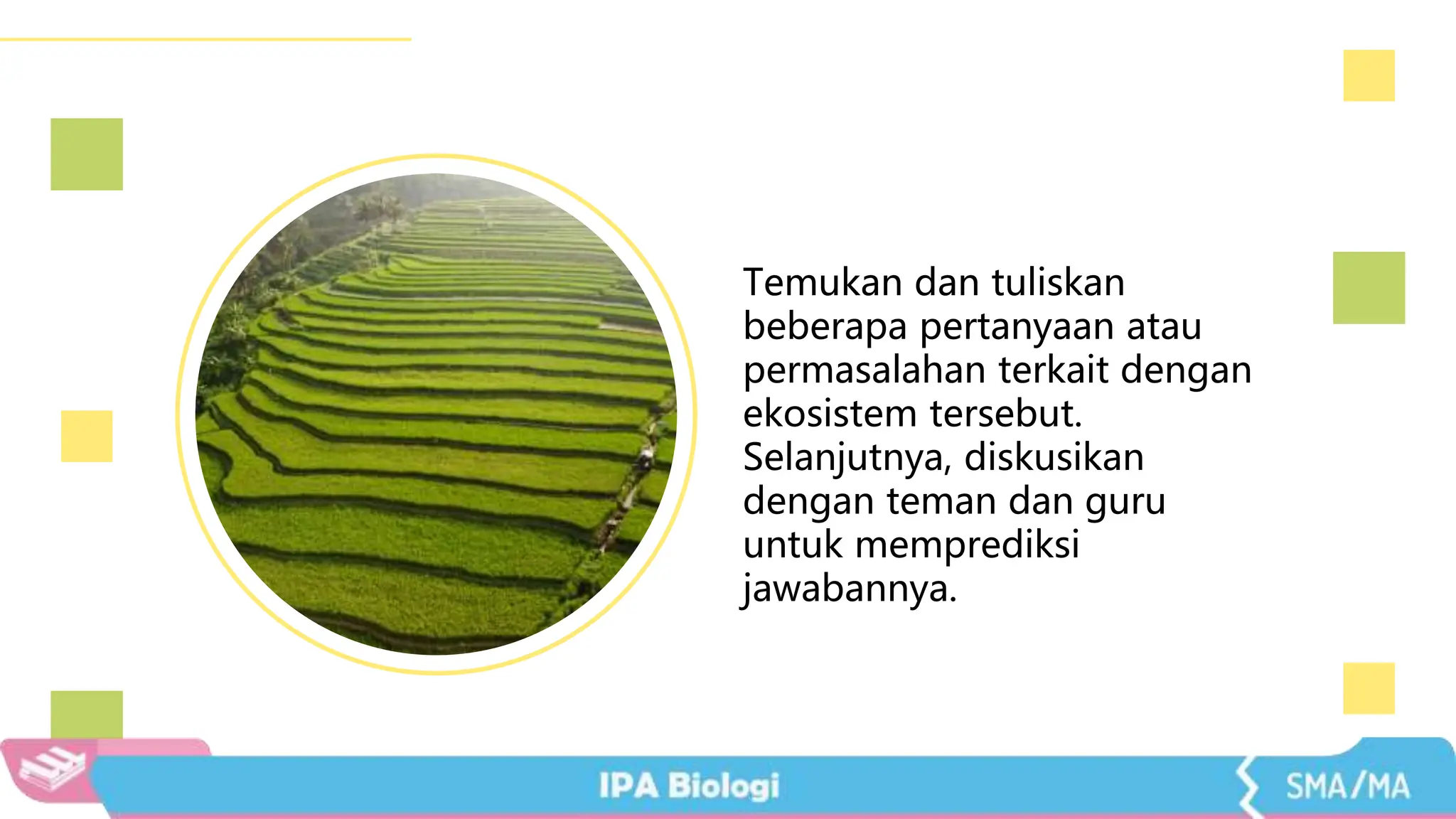 PPT Bab 4 IPA Biologi Kelas X Kur Merdeka (1).pptx