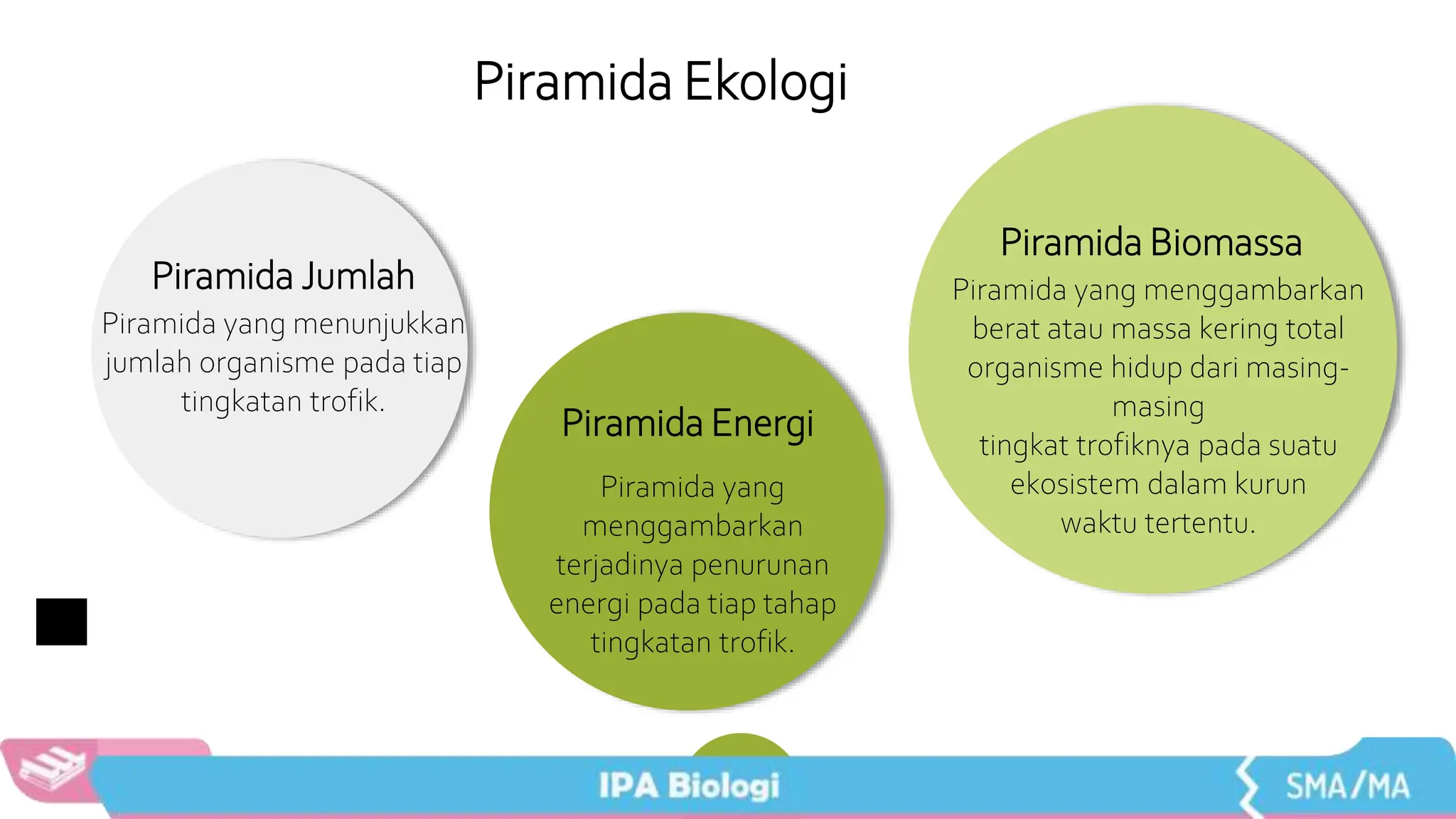 PPT Bab 4 IPA Biologi Kelas X Kur Merdeka (1).pptx