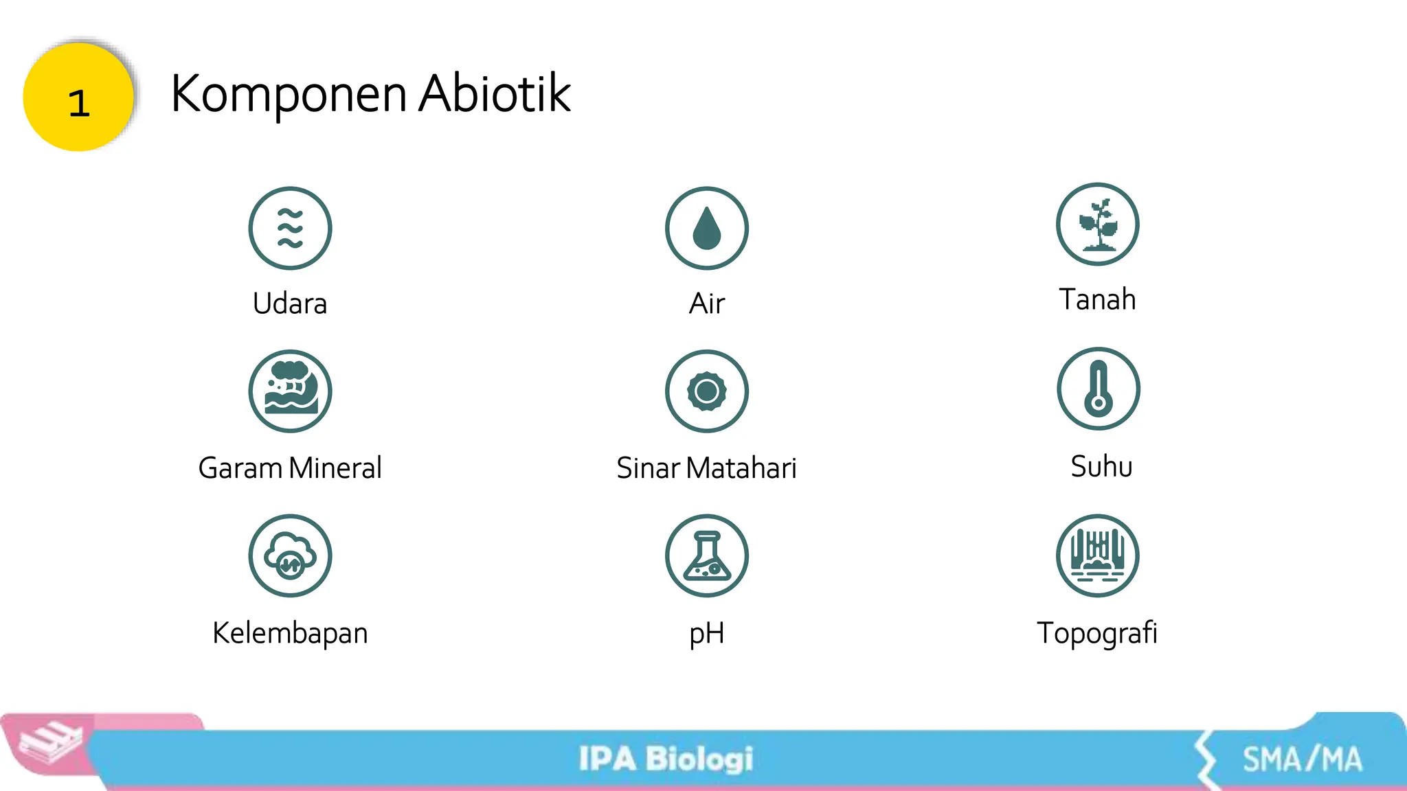 PPT Bab 4 IPA Biologi Kelas X Kur Merdeka (1).pptx