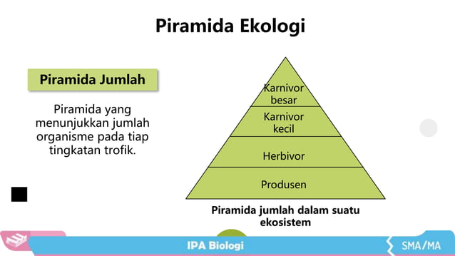 PPT Bab 4 IPA Biologi Kelas X Kur Merdeka (1).pptx