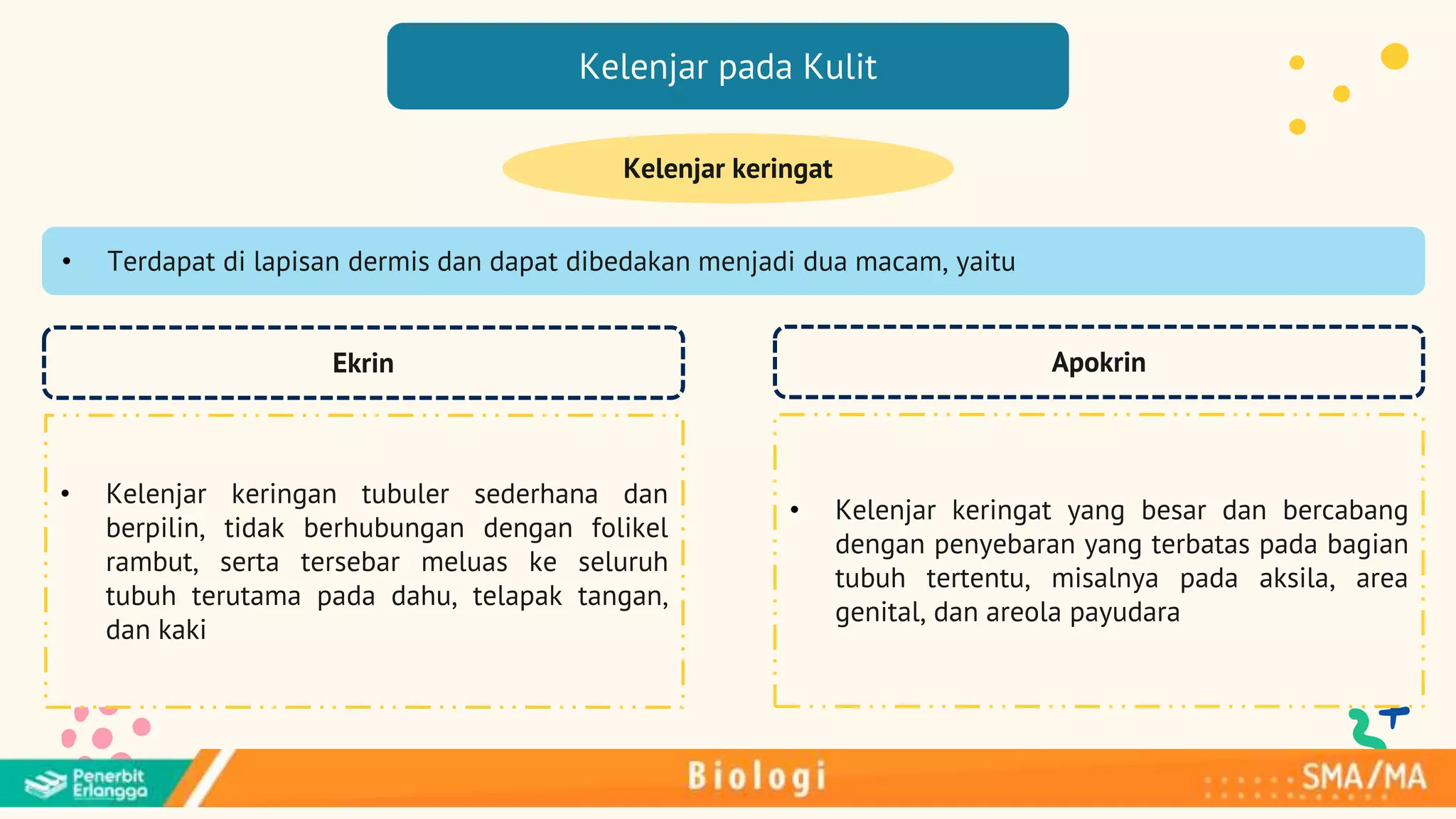 PPT Bab 6 Biologi Kelas XI Kur-Merdeka.pptx