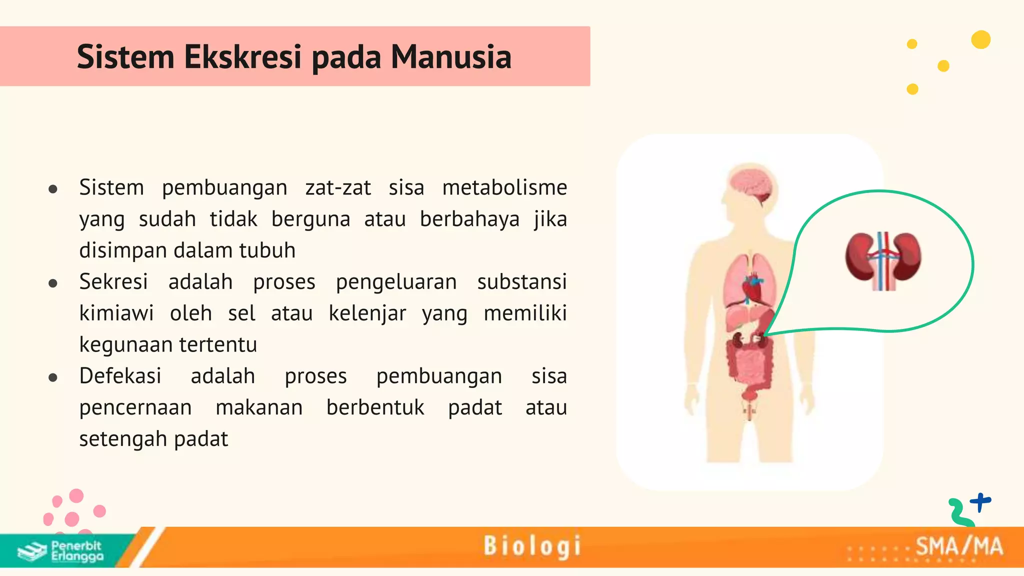 PPT Bab 6 Biologi Kelas XI Kur-Merdeka.pptx