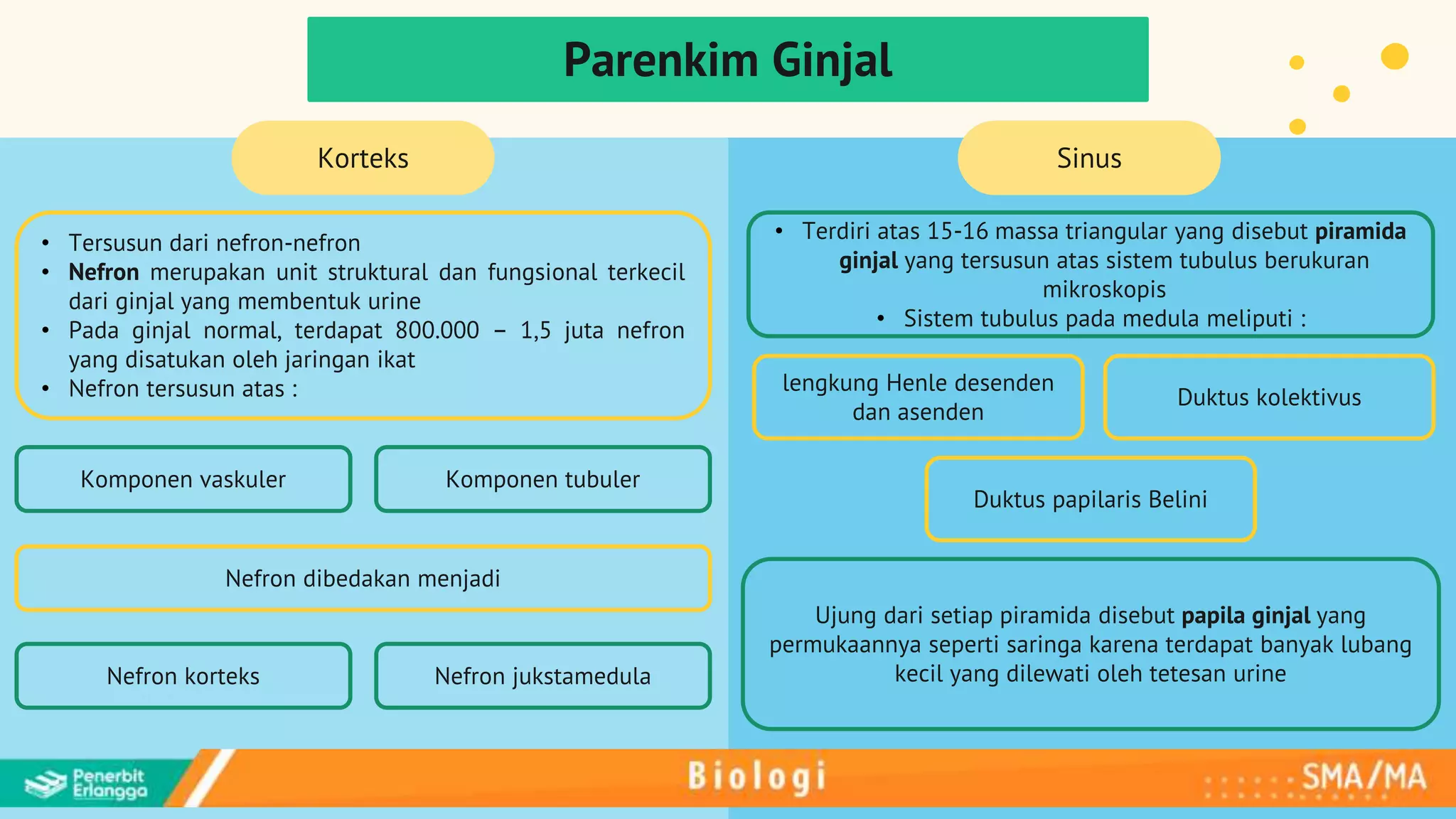 PPT Bab 6 Biologi Kelas XI Kur-Merdeka.pptx