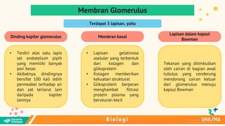 PPT Bab 6 Biologi Kelas XI Kur-Merdeka.pptx