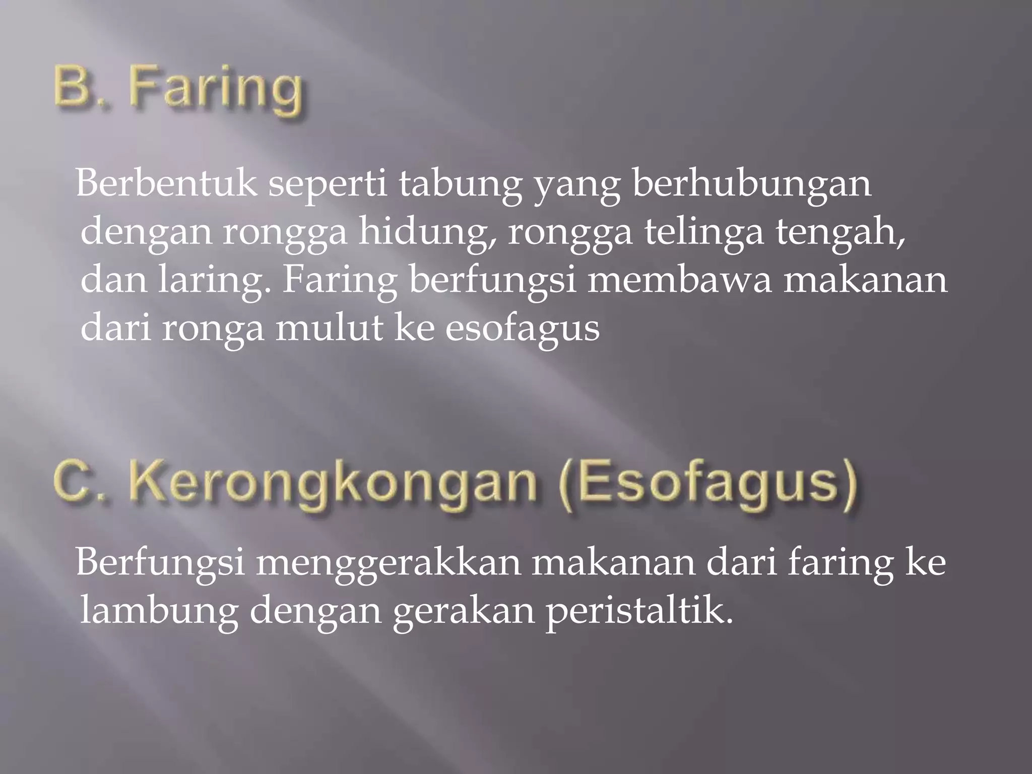 Biologi bab 6 kelas XI | PPTX