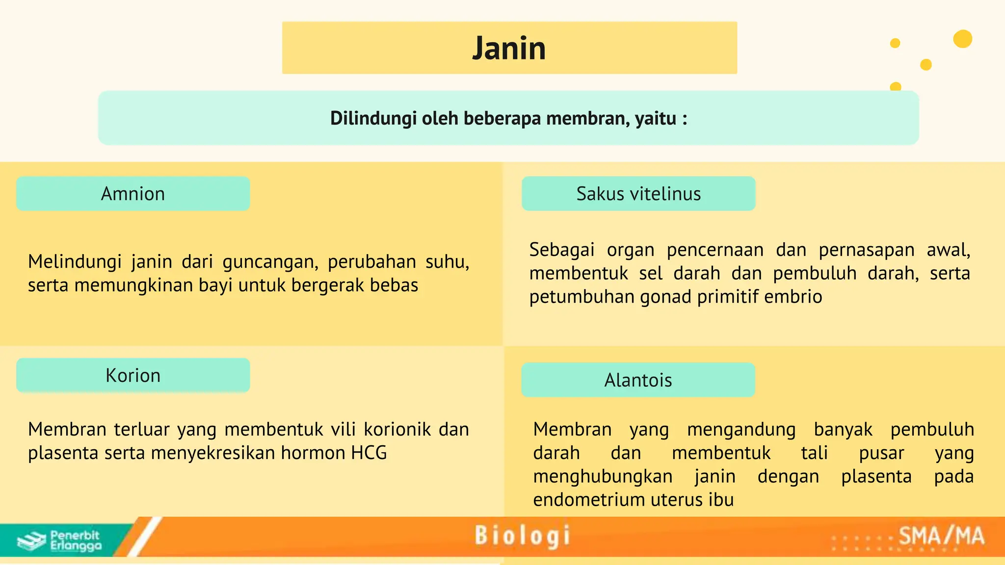 PPT Bab 8 REPRODUKSI Biologi Kelas XI Kur-Merdeka.pptx