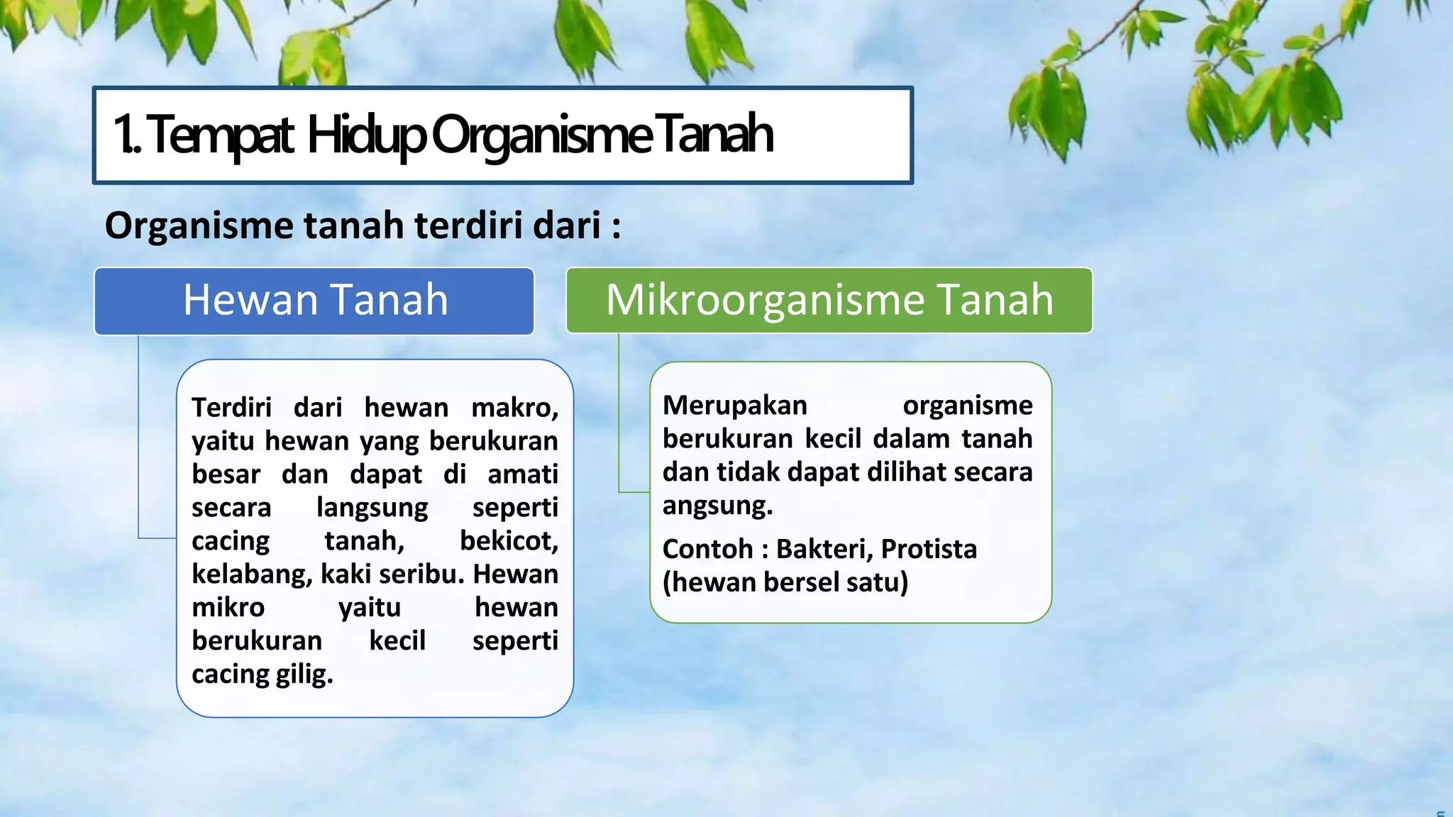 PPT BAB 9 TANAH DAN KEBERLANGSUNGAN KEHIDUPAN.pptx