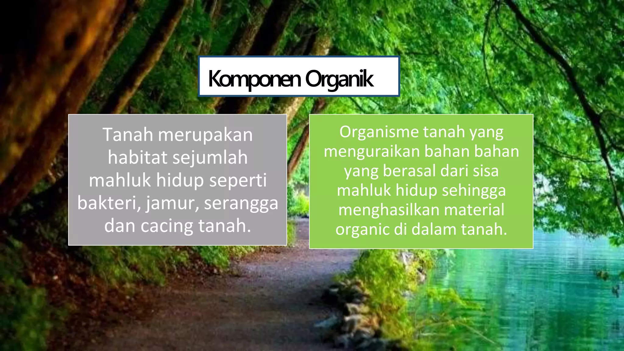 PPT BAB 9 TANAH DAN KEBERLANGSUNGAN KEHIDUPAN.pptx