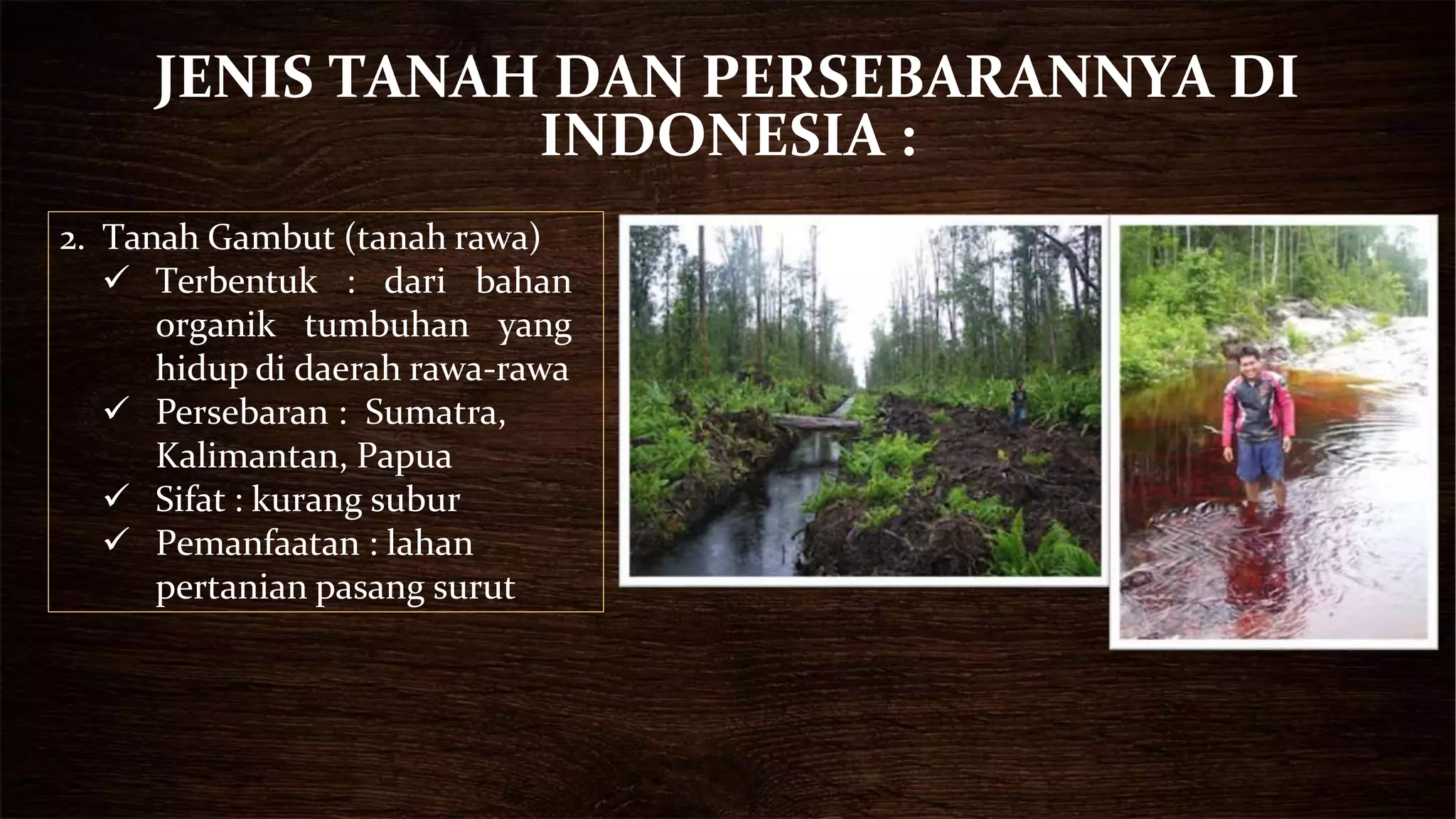 PPT BAB 9 TANAH DAN KEBERLANGSUNGAN KEHIDUPAN.pptx