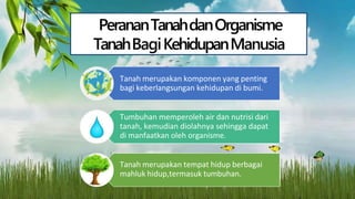 PPT BAB 9 TANAH DAN KEBERLANGSUNGAN KEHIDUPAN.pptx