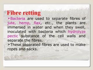 Importence of plant pathogenic bacteria | PPT