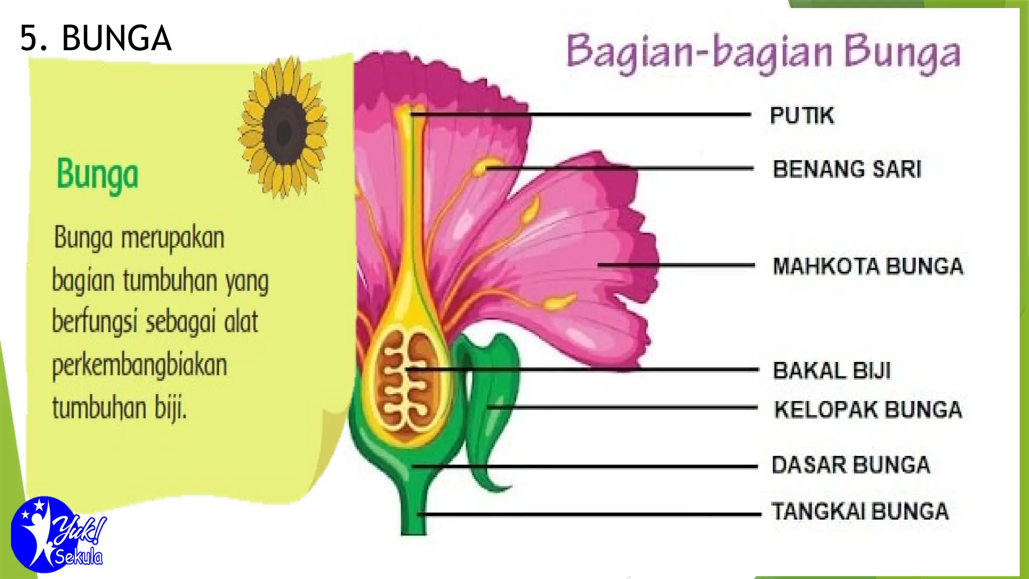 PPT BAGIAN-BAGIAN TUMBUHAN KLAS 4 - Revisi.pptx
