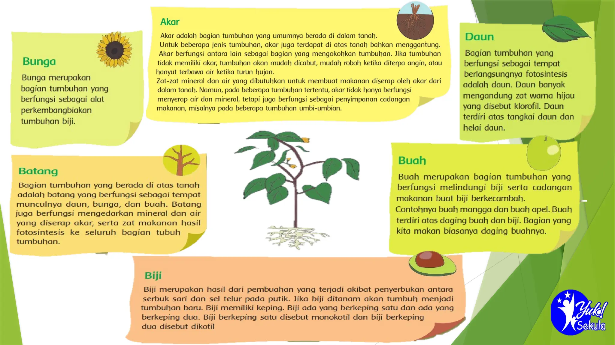 PPT BAGIAN-BAGIAN TUMBUHAN KLAS 4 - Revisi.pptx
