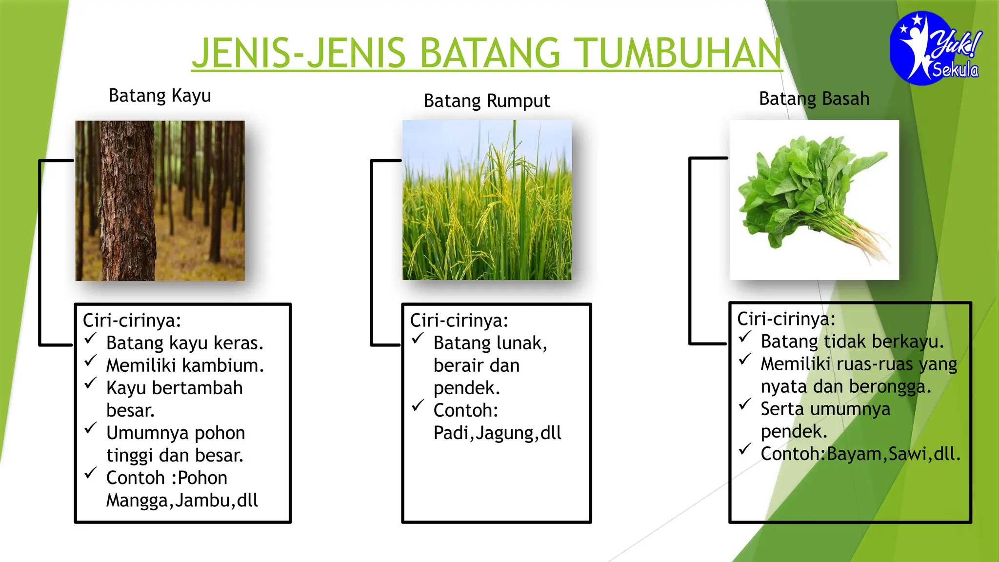 PPT BAGIAN-BAGIAN TUMBUHAN KLAS 4 - Revisi.pptx