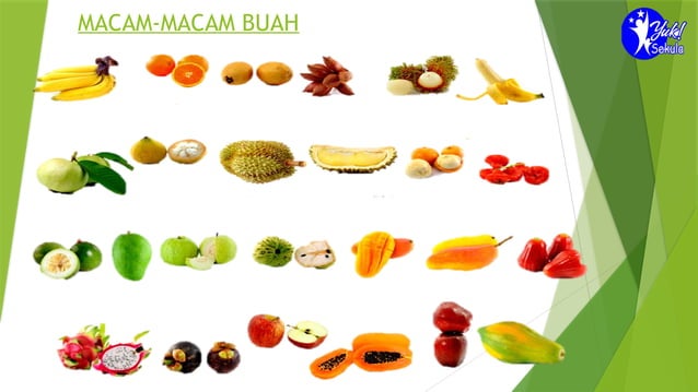 PPT BAGIAN-BAGIAN TUMBUHAN KLAS 4 - Revisi.pptx