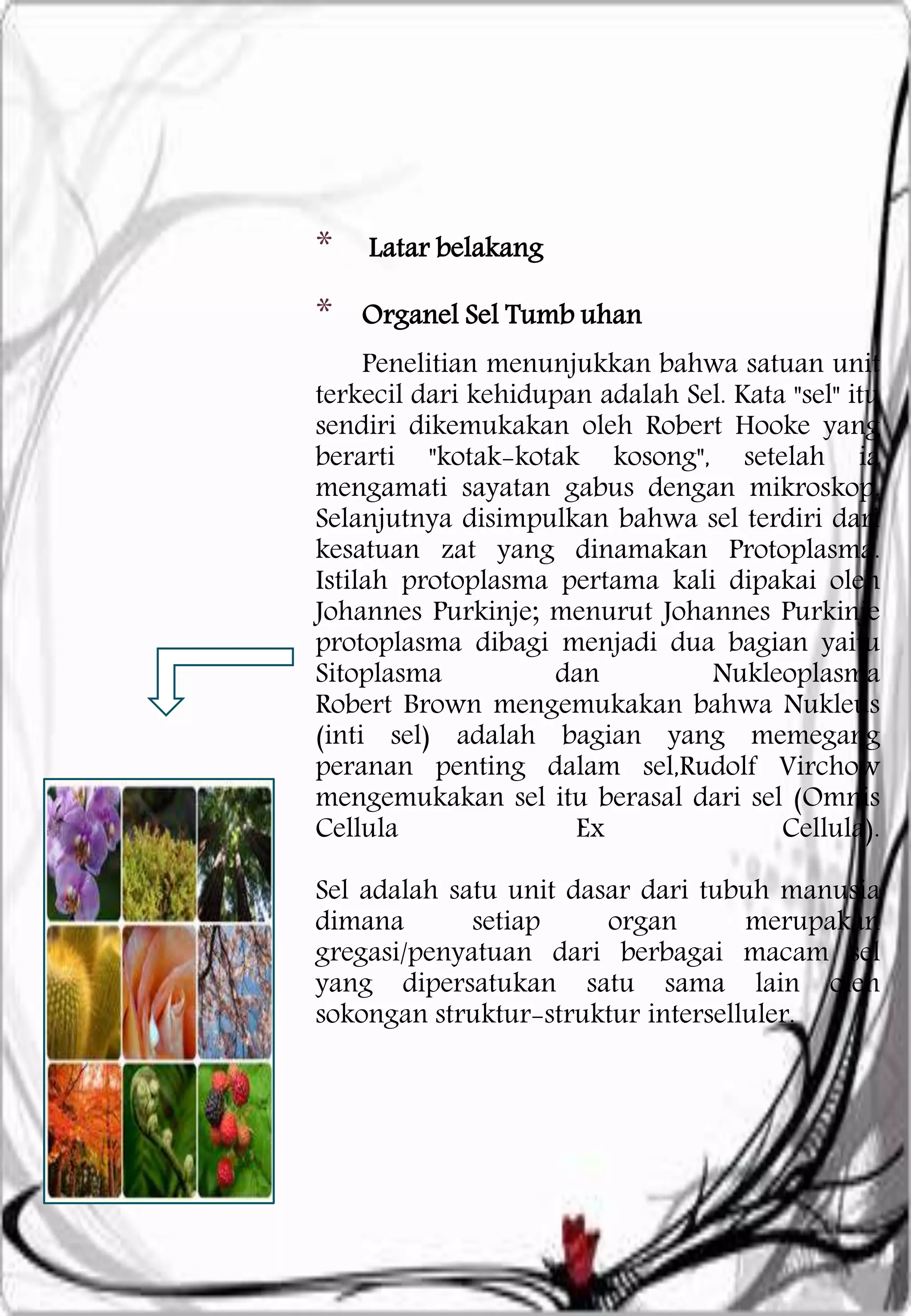 Ppt bagian organel sel tumbuhan berserta fungsinya firman ahyuda | PPTX