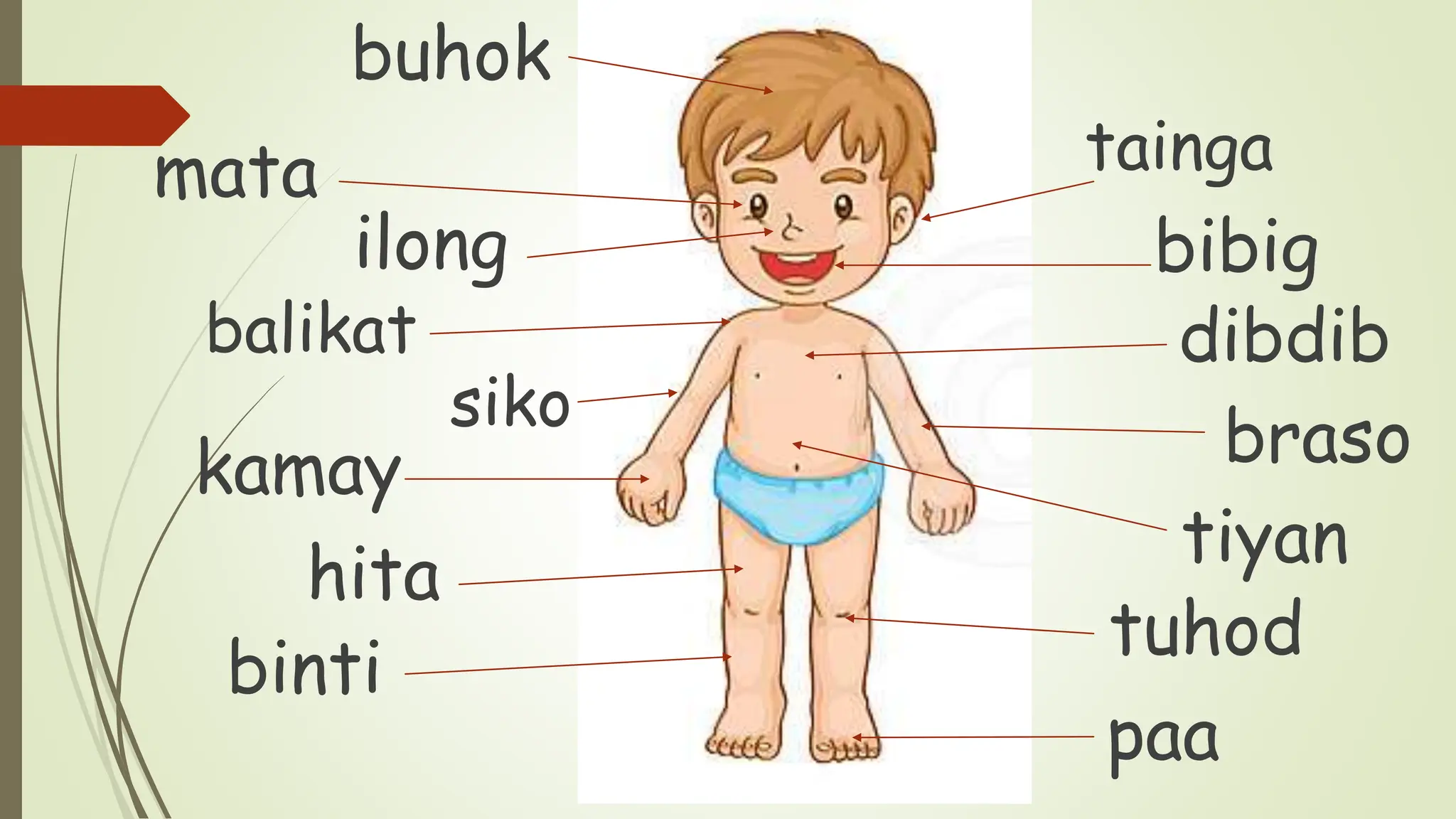 PPT BAHAGI NG KATAWAN.pptx