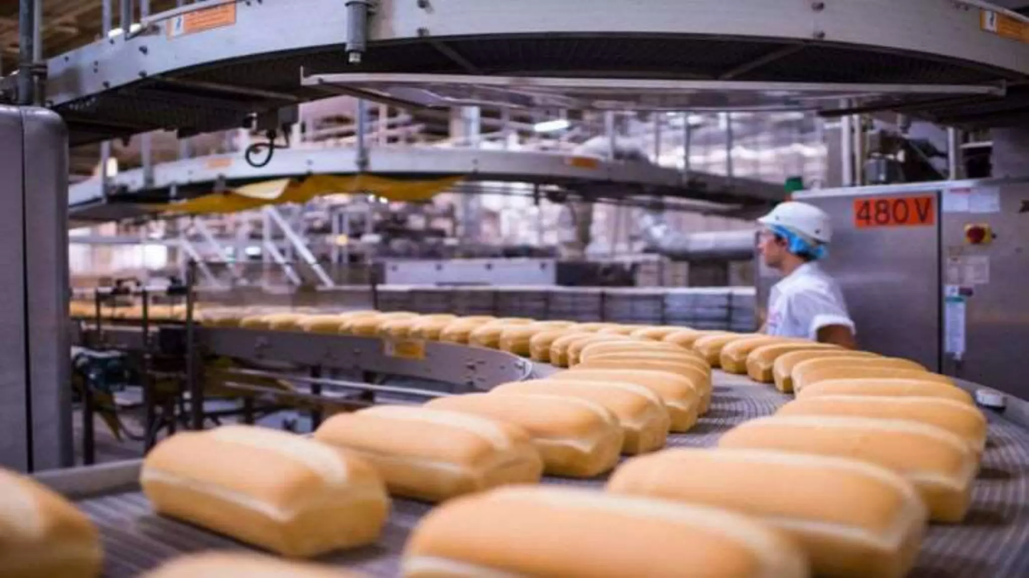 Role of ingredients in bakery industry | PPTX