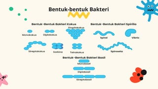PPT BAKTERI (CIRI-CIRI, STRUKTUR DAN FUNGSI BAKTERI) | PPTX