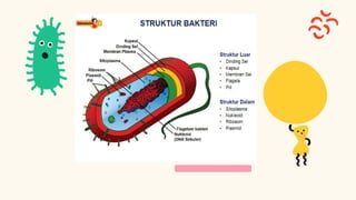 PPT BAKTERI (CIRI-CIRI, STRUKTUR DAN FUNGSI BAKTERI) | PPTX